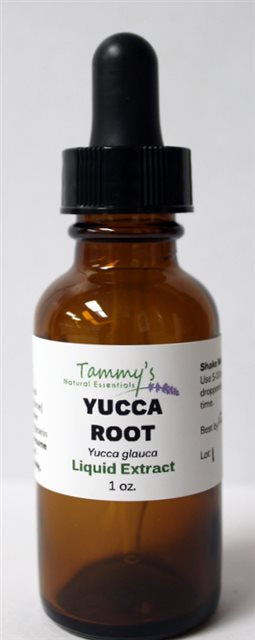 YUCCA ROOT LIQUID EXTRACT – Tammy's Natural Essentials