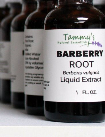 BARBERRY ROOT LIQUID EXTRACT – Tammy's Natural Essentials