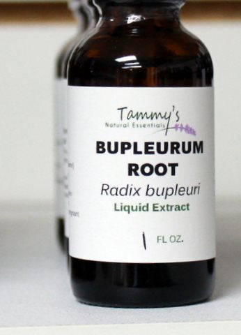 BUPLEURUM ROOT LIQUID EXTRACT – Tammy's Natural Essentials